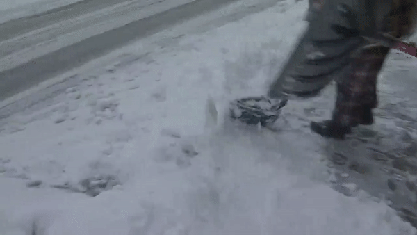 Cuánta nieve cayó en Boston, Massachusetts – Telemundo Nueva Inglaterra