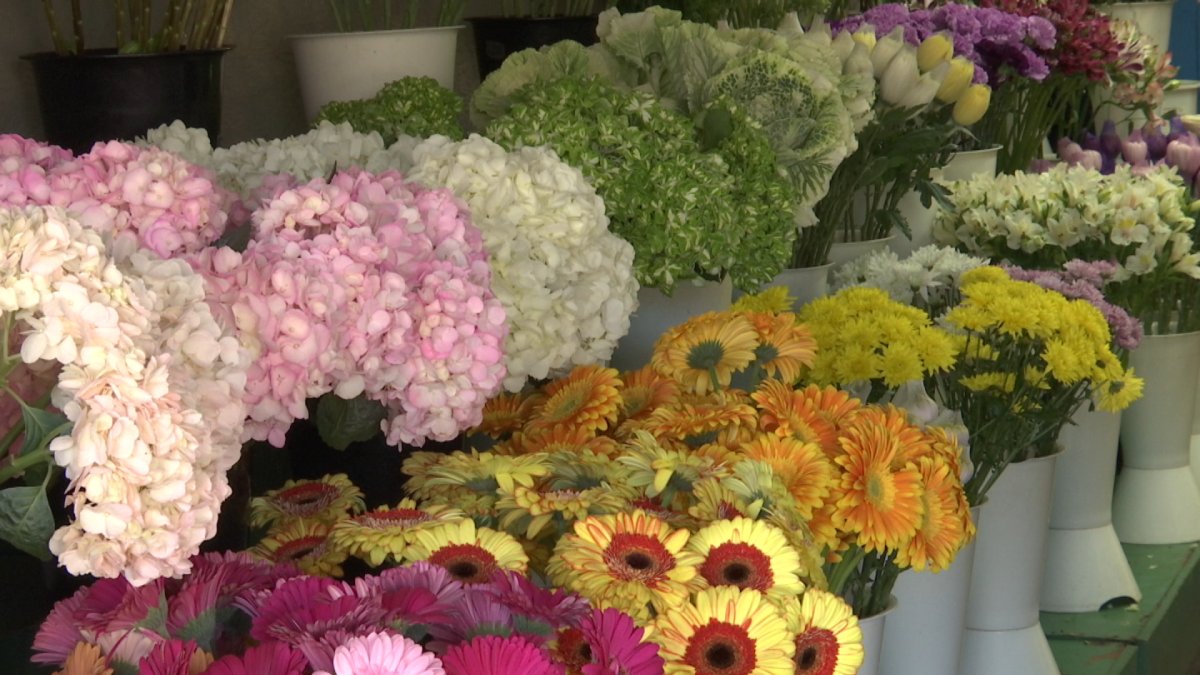 Baker alivia restricciones de floristerías y los negocios de jardinería ...