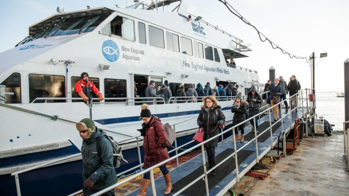 Boston, MA: MBTA anuncia cambios en sus servicios de ferry ante el paso ...