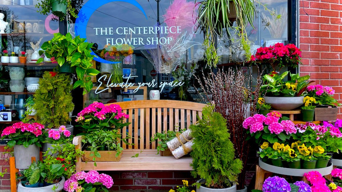 ‘Centerpiece Flower Shop’ nombrada "Best of Boston" 2022 – Telemundo ...
