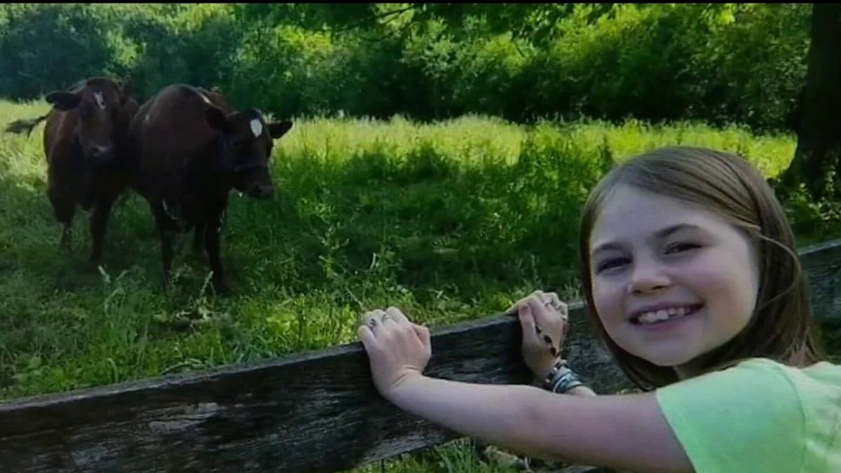 Niña desaparecida en Illinois, cuyo caso salió en serie de Netflix, fue ...