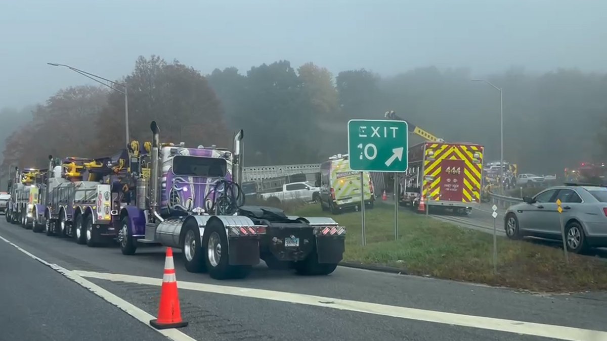 14 vacas de Maine mueren tras accidente en I-84 de Connecticut ...