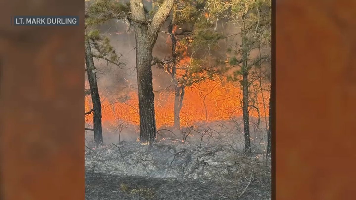 Se registra incendio forestal en Cape Cod – Telemundo Nueva Inglaterra