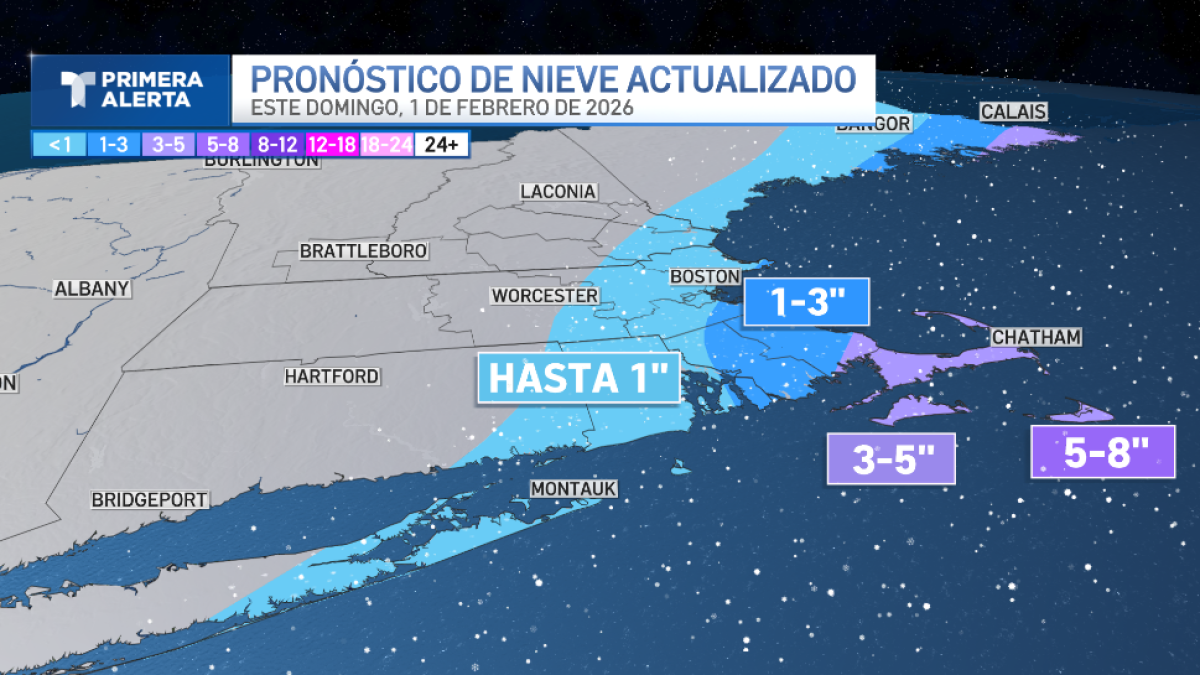 Tormenta del domingo dejará entre 5 y 8 pulgadas en la costa de Mass ...