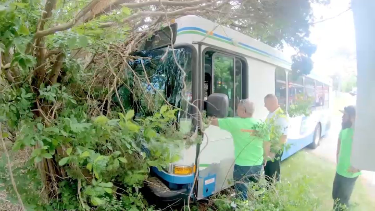 Accidente de autobús en Cape Cod deja seis hospitalizados – Telemundo ...
