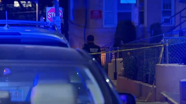 Tiroteo en Roxbury deja a un hombre herido, dice la policía – Telemundo ...